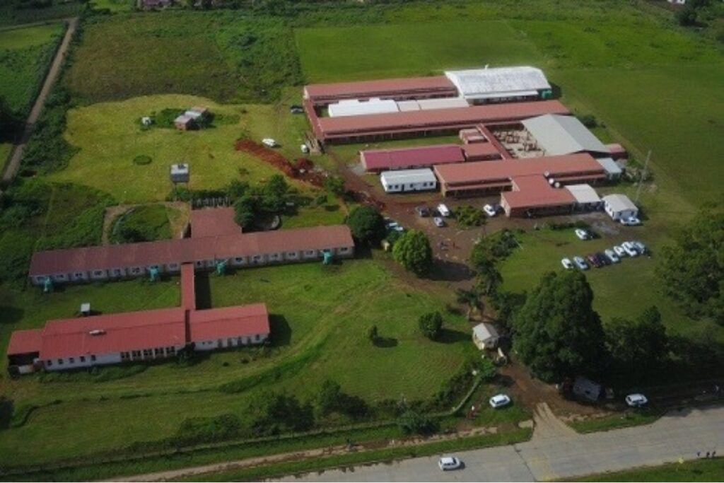 Ingwe TVET College | EduAtlas